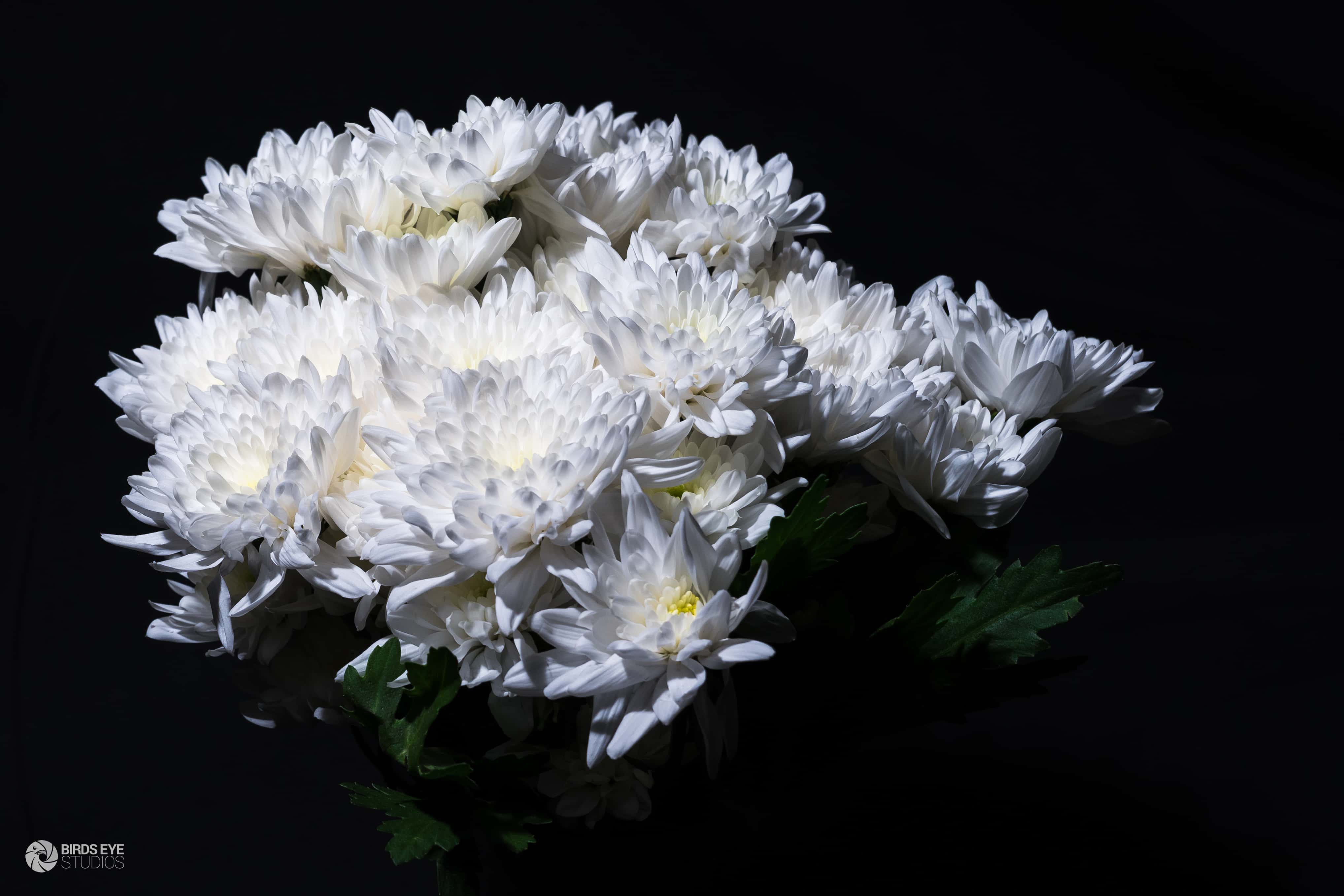 Birds Eye Studios - Film | Photography | Aerial Filming and Aerial ...